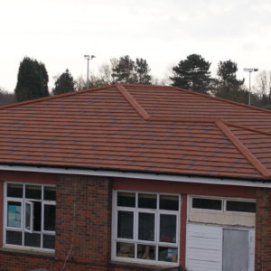 Alpha Roofing Systems | Commercial and Industrial Tile Substitute